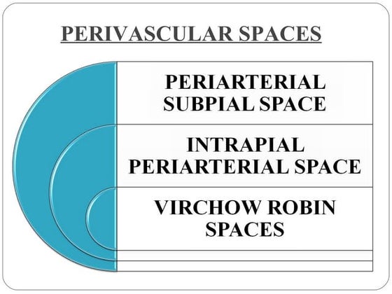Scalp, development of cranium by DR.ARSHAD | PPT
