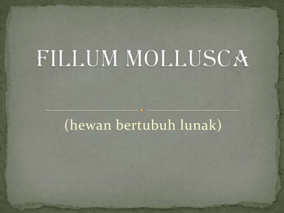 Ciri dan sifat mollusca | PDF