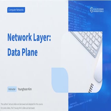 4 Computer Network Layer Data Planes Ppt
