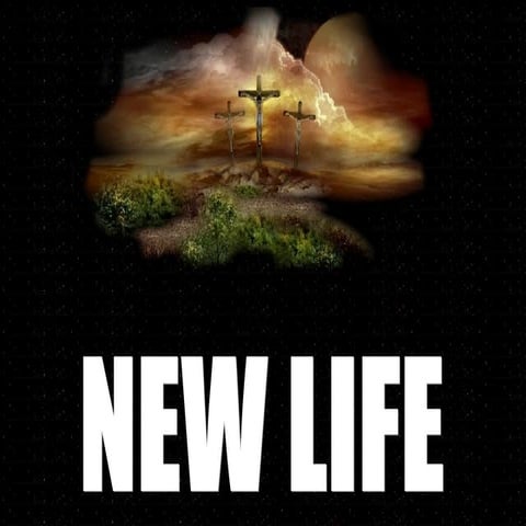 LSS-New Life | PPT