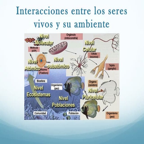Ecologia | PPSX