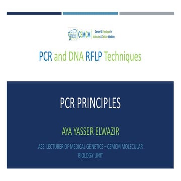 4-PCR principles.pdf