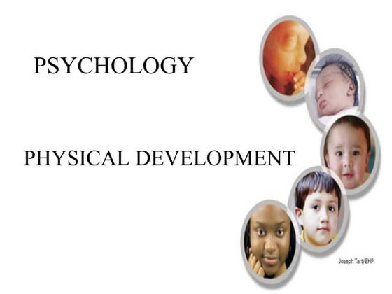 The human life cycle | PPT