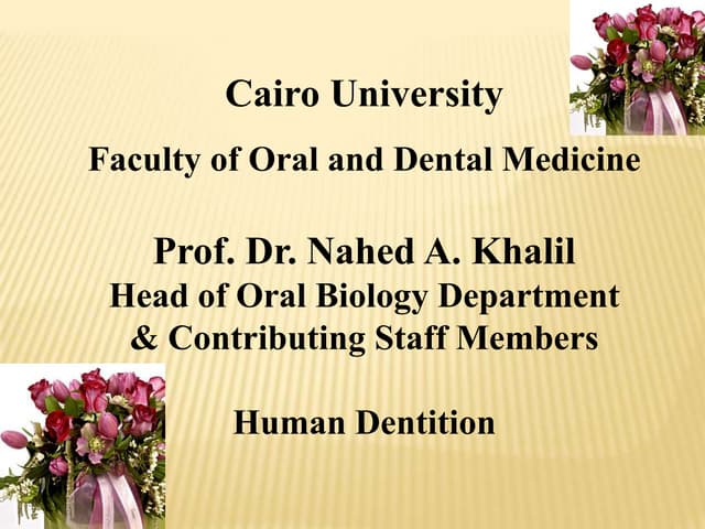 Maxillary second premolar | PPTX