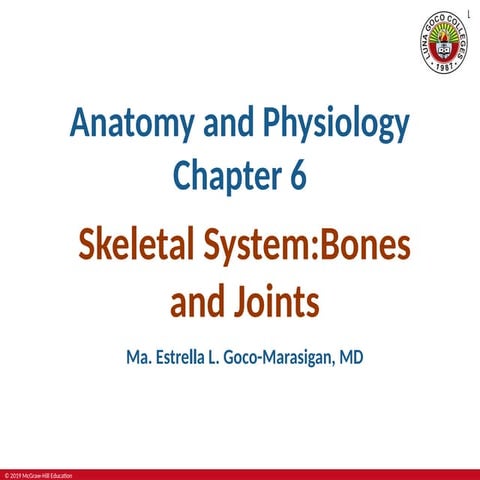 4-Skeletal-System-Bones-and-Joints-Powet | PPT