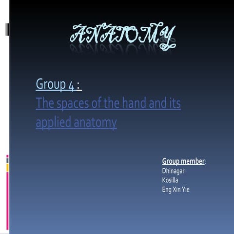 4. spaces of the hand & its applied anatomy[1] | PPT