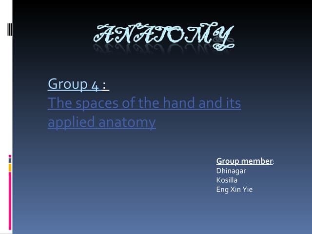 Extensor apparatus hand | PPT