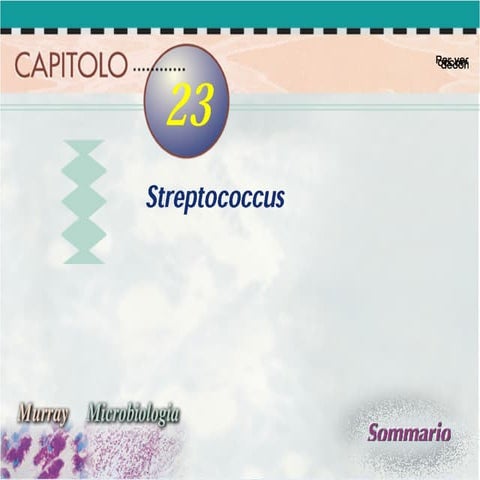 4.strepto | PPT