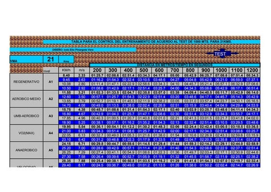 Air Force Tier 2 operator fitness test standards | PDF | Fitness and ...