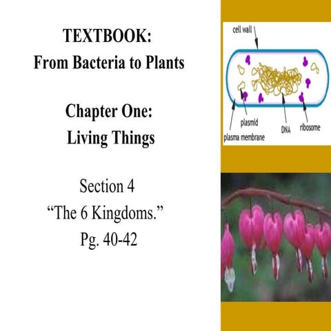 The6 Kingdoms.ClassificationNotes#4 | PPT