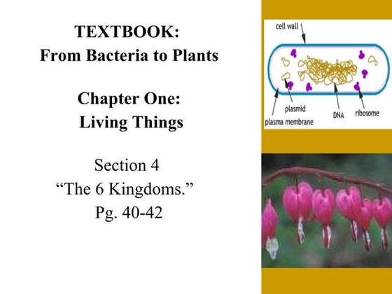 The six kingdoms | PPTX