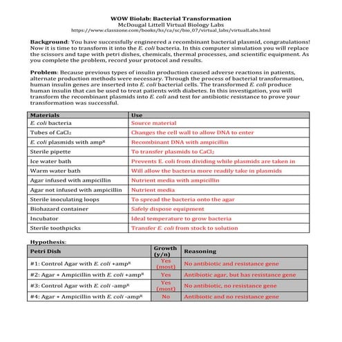 40. Bacterial Transformation Lab Notebook TEACHER.doc
