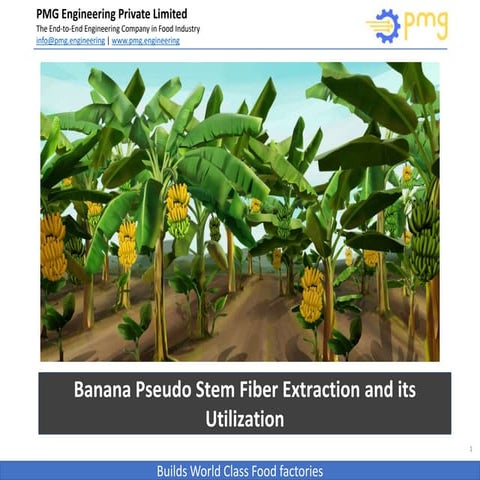 Banana Pseudostem extraction and utilization.pptx
