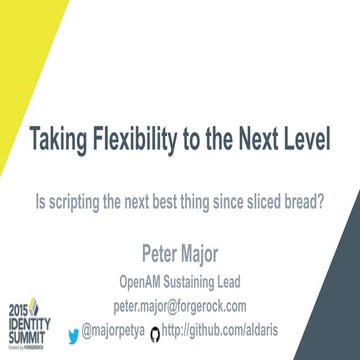 Taking Flexibility to the Next Level | PDF | Web Development | Internet