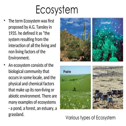 Learn about ecology and the different types of ecosystem | PPT