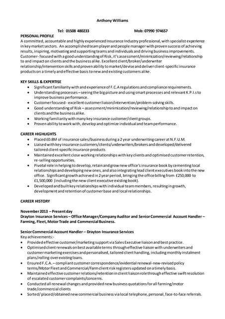 anne cv english | PDF