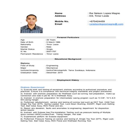 Nelson CV upgrade (1) | DOCX