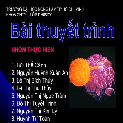 Bài Thuyết Trình Hệ Thống Miễn Dịch Của Cơ Thể | PDF