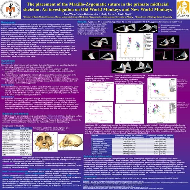 AAPA 2013 Poster_JM edits1 | PDF