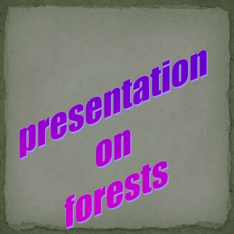 Terrestrial Ecosystem In The Philippines Rainforest Ppt Pptx