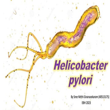 40513175_ebh 2023_MIC09800_helicobacter pylori ppt..pptx | Digestive Disorders | Diseases and ...