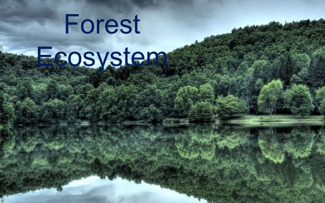 Forest Ecosystem | PPTX