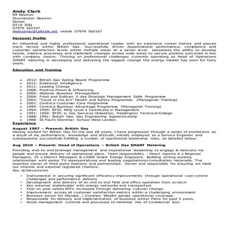 CV- Andy Clark 2015 | DOCX