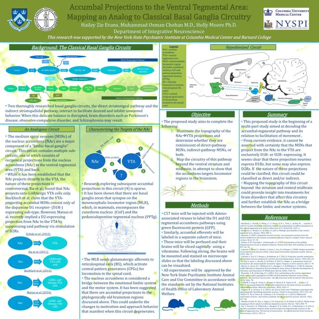 Hailey_Evans NAc VTA Poster 2014 | PDF