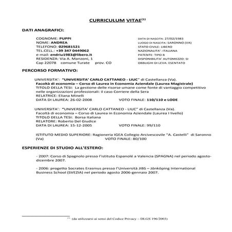 Andrea Puppi CV Ita | DOC