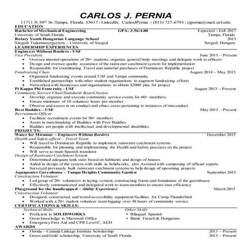 Diane Blythe Professional Resume 2015 | PDF