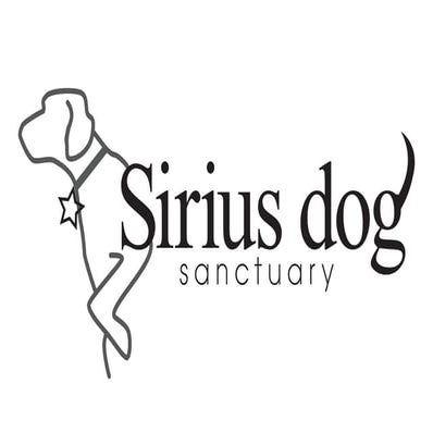 sirius logo | PDF