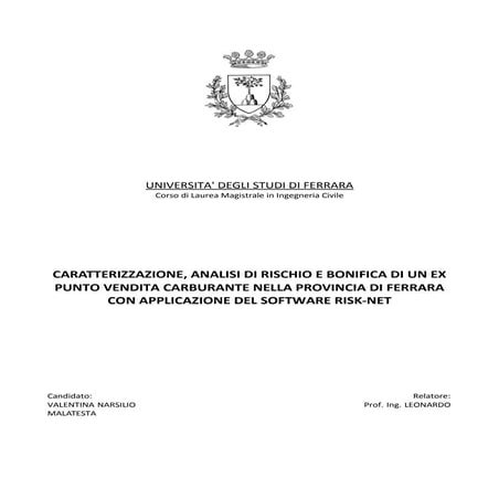 copertina + indice TESI MAGISTRALE | DOC