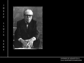 Schindler Wolfe2 | PPT