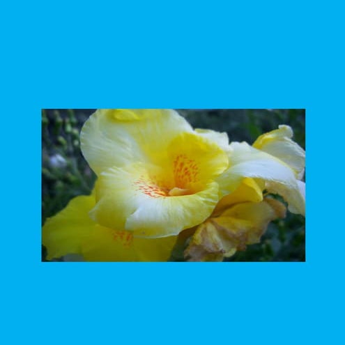 40pic microshoot | PDF