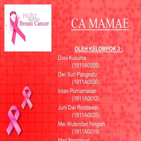 410124353-CA-Mamae-Ppt.ppt