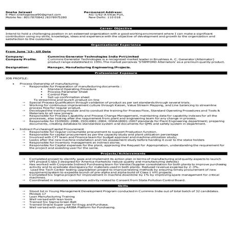 Resume_sneha | DOCX | Business | Business and Finance