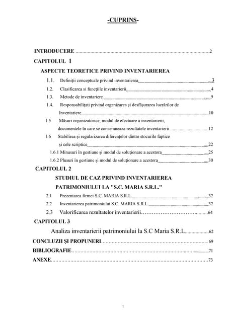 Raport de audit intern | DOCX