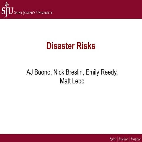 Disaster Risk Presentation | PPT