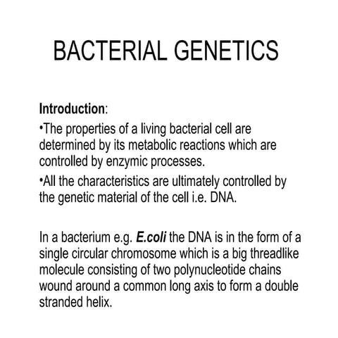Bacterial Genetics | PPT