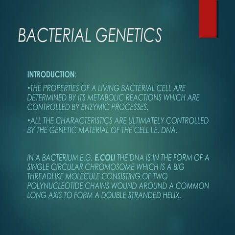 Bacterial Genetics | PPT