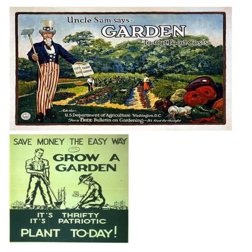 21 free Organic Gardening Posters | PDF