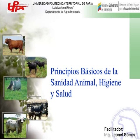 414884850-Tema-1-Principios-Basicos-de-La-Sanidad-Animal.ppt