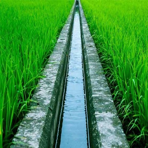 Irrigation System | PPT