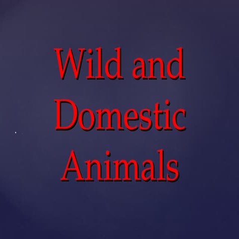 wild and domestic animals | PPT