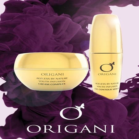 Origani Presentation | PDF