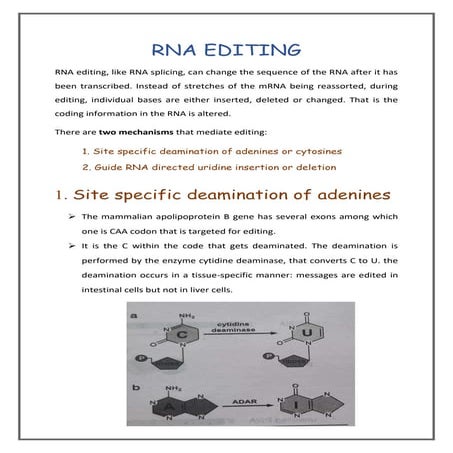 RNA Editing | PDF | Programming Languages | Computing