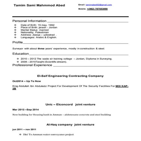Tamim Abed CV | DOCX | Technology & Computing