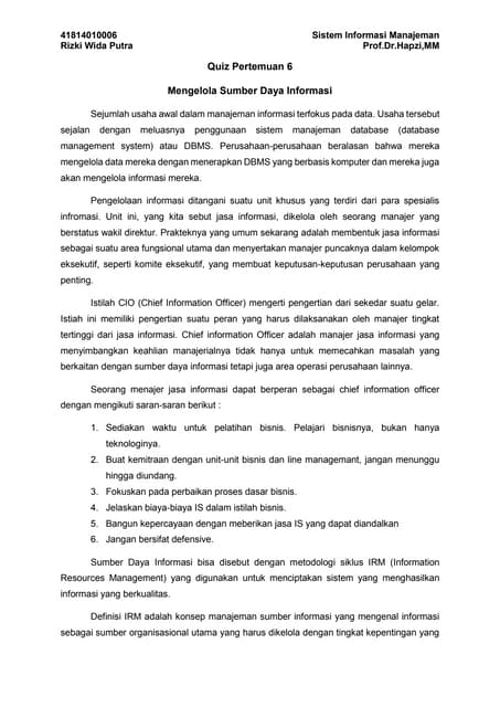 Manajemen Sumber Daya Informasi | PDF