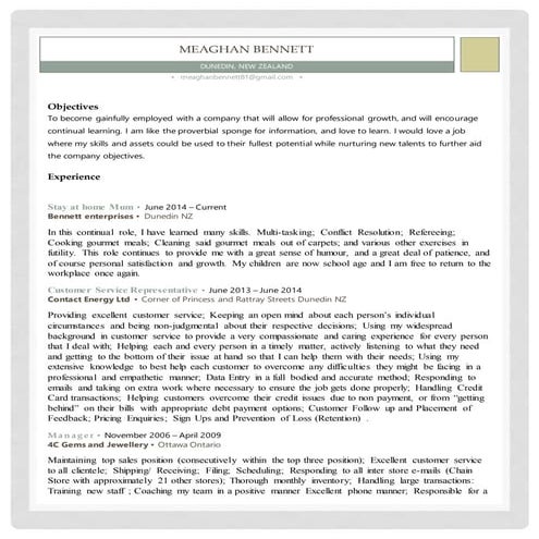 Resume Professional 2016 a | PDF