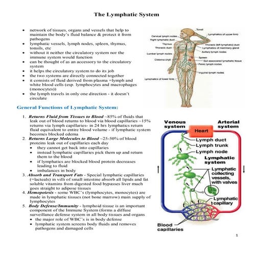 4_19_LYMPHMATIC_SYSTEM (1).pdf